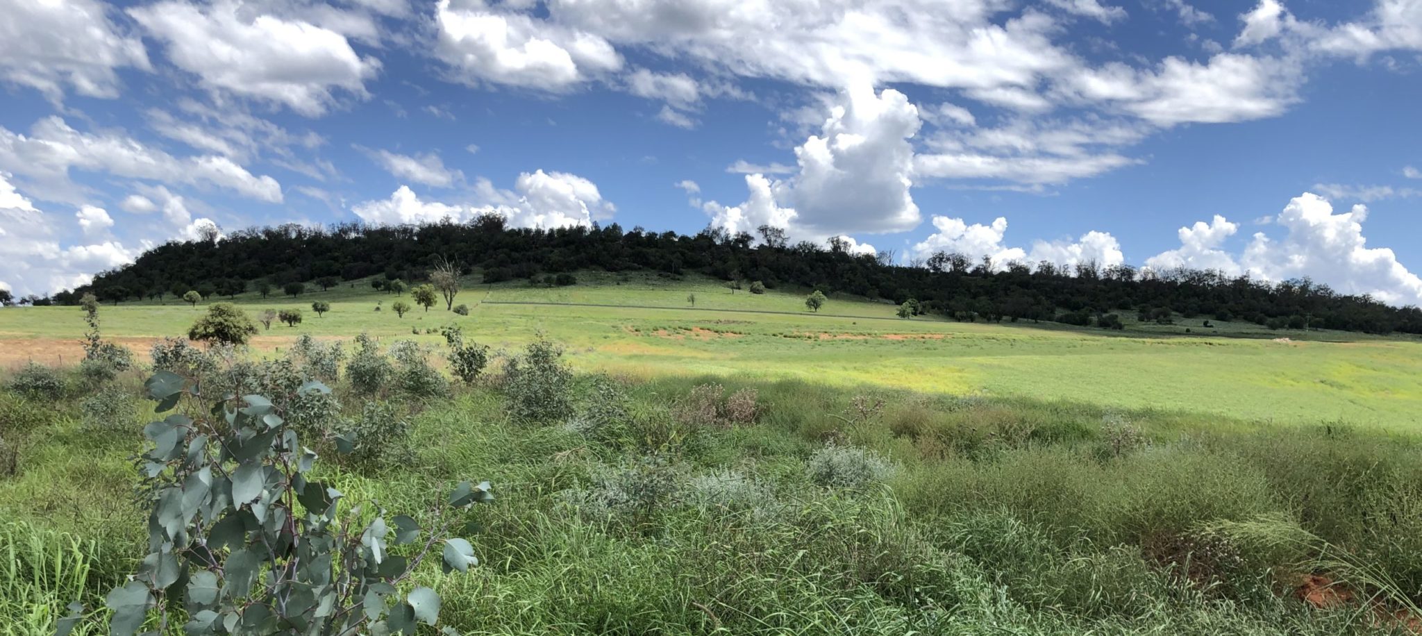 Sunnyside Mine - Whitehaven Coal