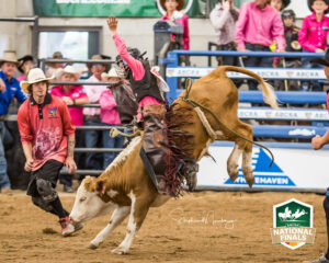 Whitehaven Coal Celebrates Courageous Cowgirls and Cowboys at ABCRA ...